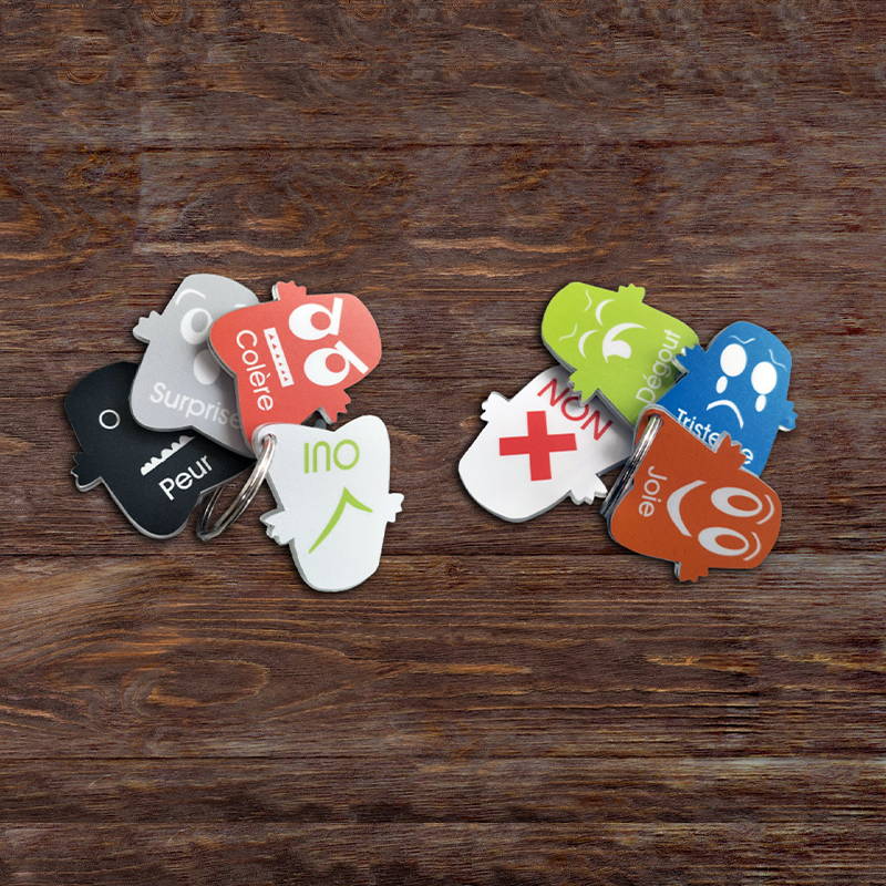 Le pass des émotions : outil psycho-éducatif des 6 émotions primaires